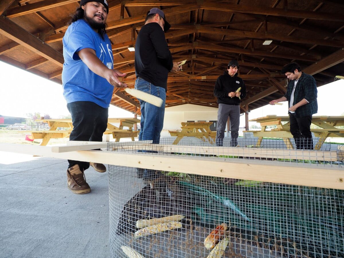 GALLERY: Indian Corn Harvest 2022 | Economic Development Corporation ...