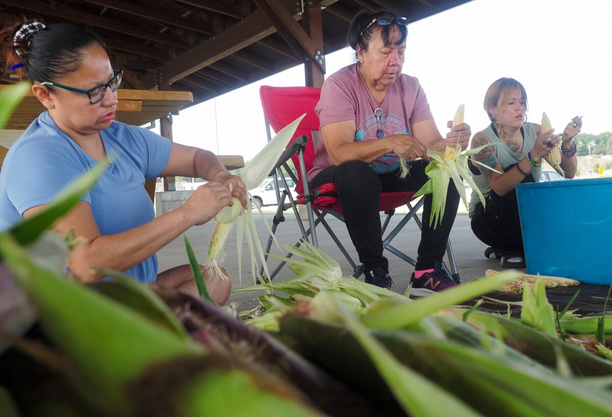 GALLERY: 2023 Traditional Indian Corn Harvest | Economic Development ...